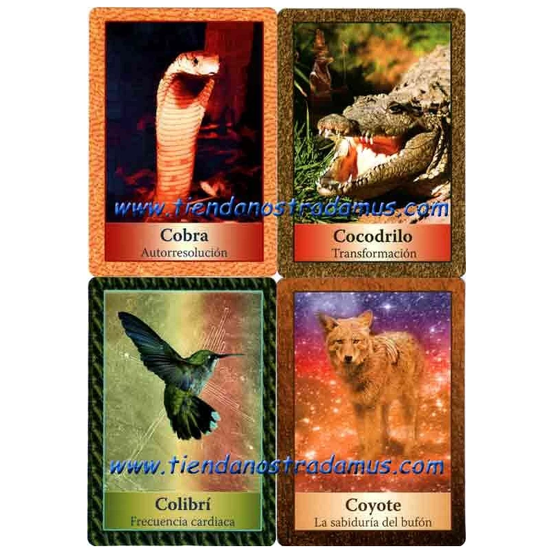 El Oráculo de los animales de poder