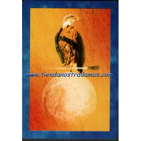 El Oráculo de los animales de poder